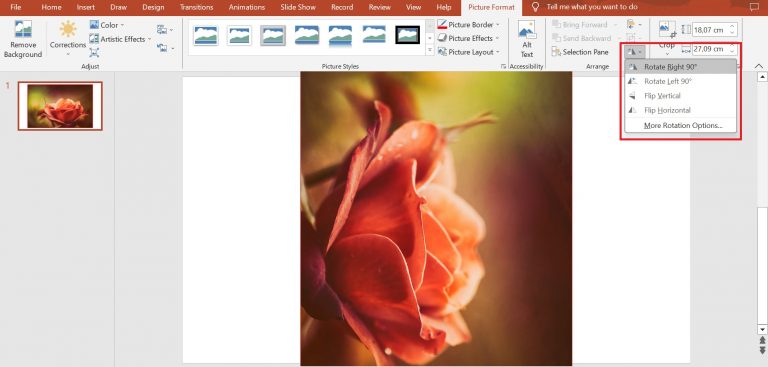 Cách chỉnh sửa hình ảnh trong PowerPoint hữu ích và đơn giản